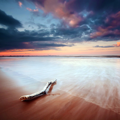 鰻魚燒 | TA in ALPHA Camp | Lighthouse